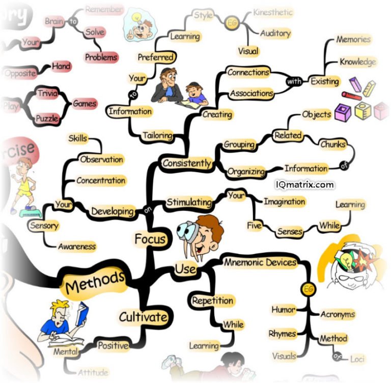 A Beginner's Guide for Improving Your Memory and Recall