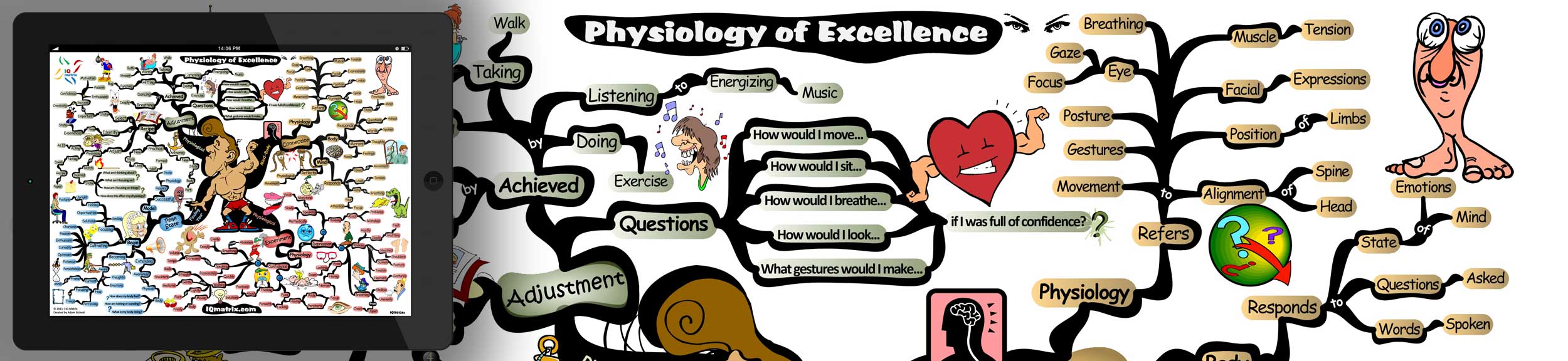 Using the Physiology of Excellence to Optimize How You Live Your Life